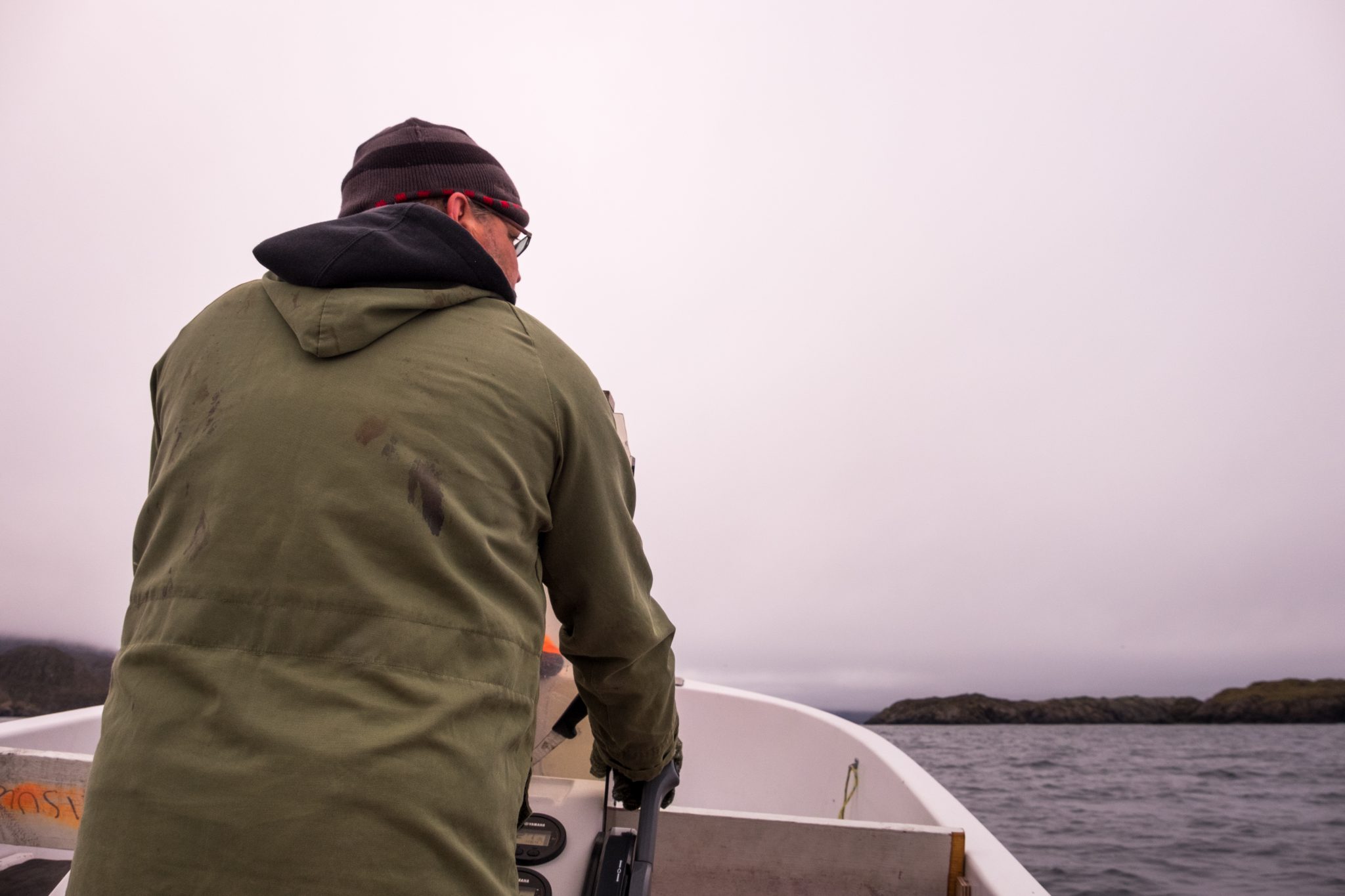 FISHING: SALMON FISHING WITH FISHING NET - Sisimiut Private Boat Safari